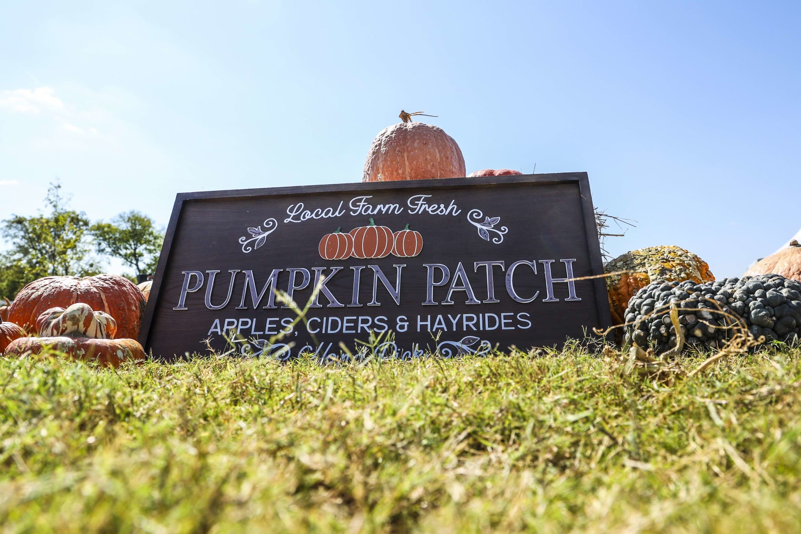 A Splendid Fall Bucket List | Sandbrock Ranch